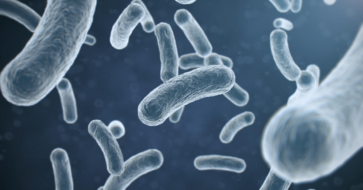 The So-Called ‘Superbug’ Candida Auris: What You Need to Know | Ochsner Health