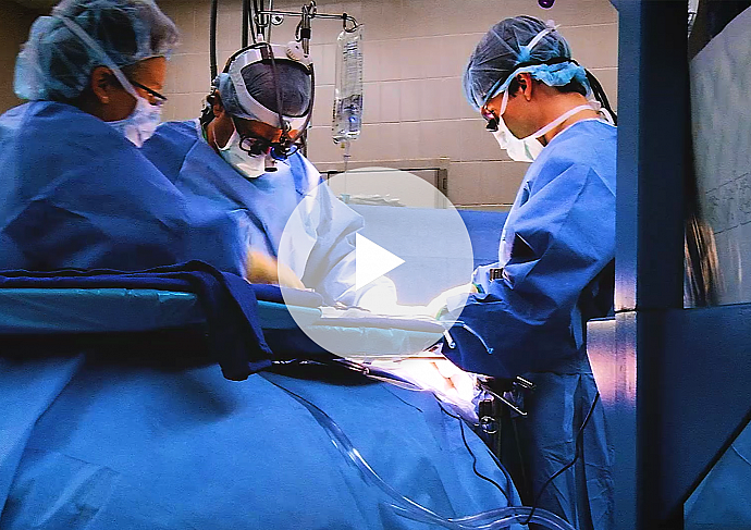 What to Know about Organ Transplants | Ochsner Health