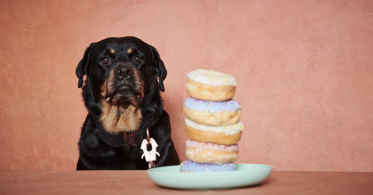 4 Ways to Overcome Temptation for Better Health Habits | Ochsner Health