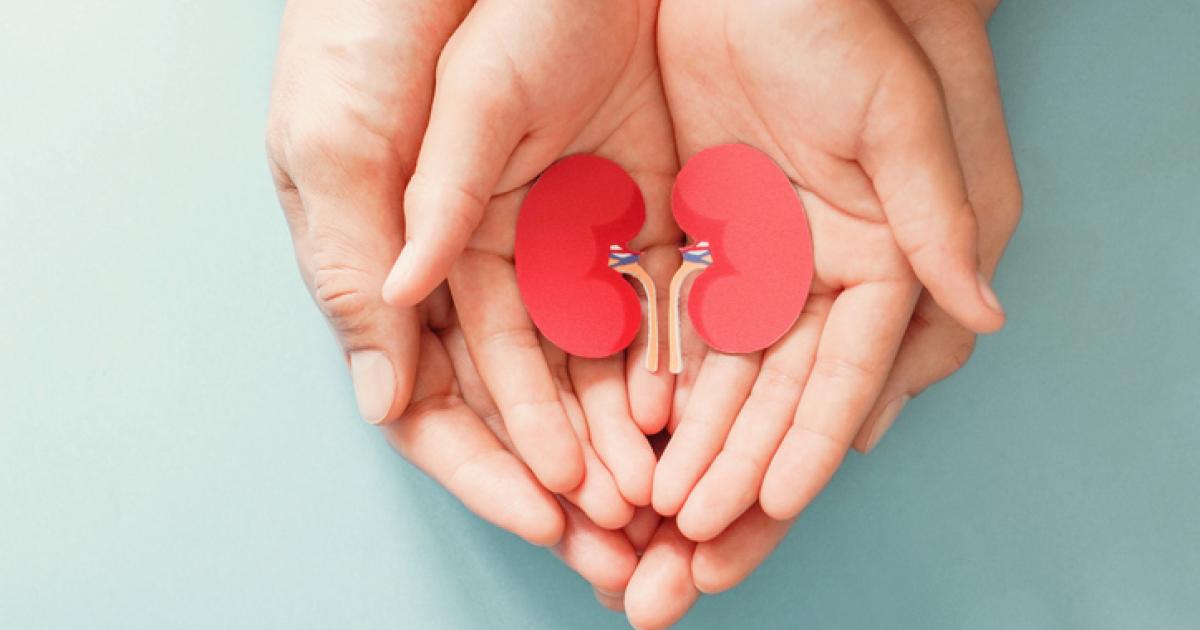 Living Kidney Donation Who Can Donate What Is The Donation Process