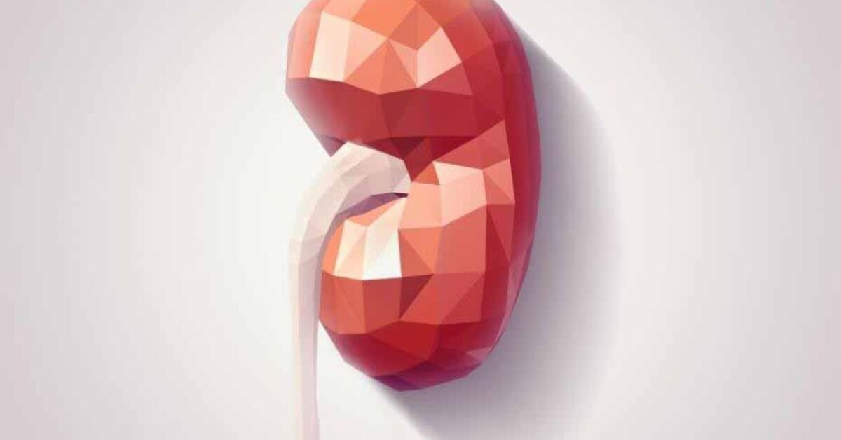 What is the Cause of Kidney Failure, and How Can I Prevent It ...